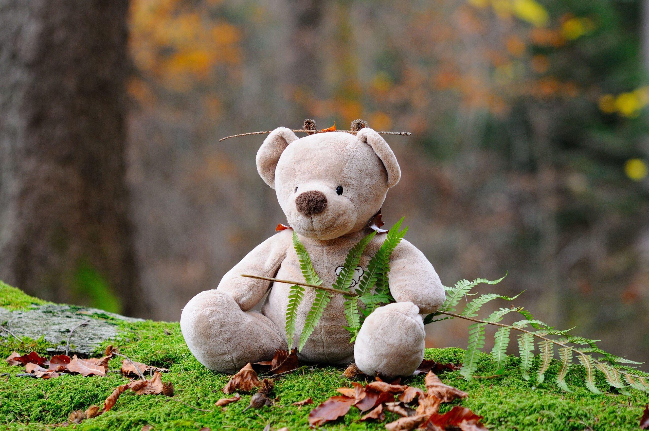 Éveil à la nature en crèche pourquoi, pour qui, comment ? - Halppy Academy
